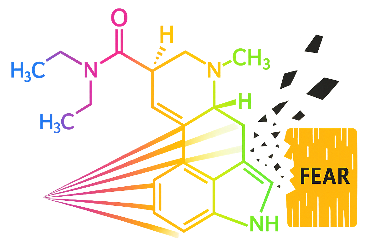 Triptherapie | Psychedelic therapy | Truffle ceremonies